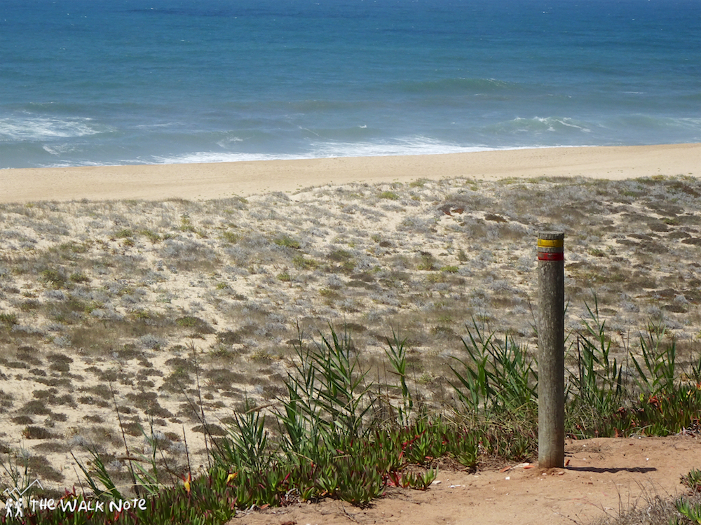The Walk Note - A praia do Norte e a praia da Falca